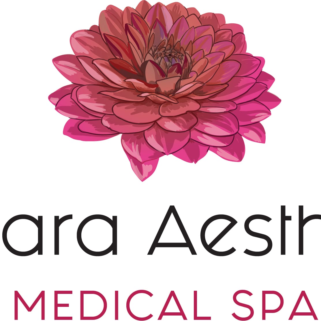 NIAGARA AESTHETIC MEDICAL SPA-avatar